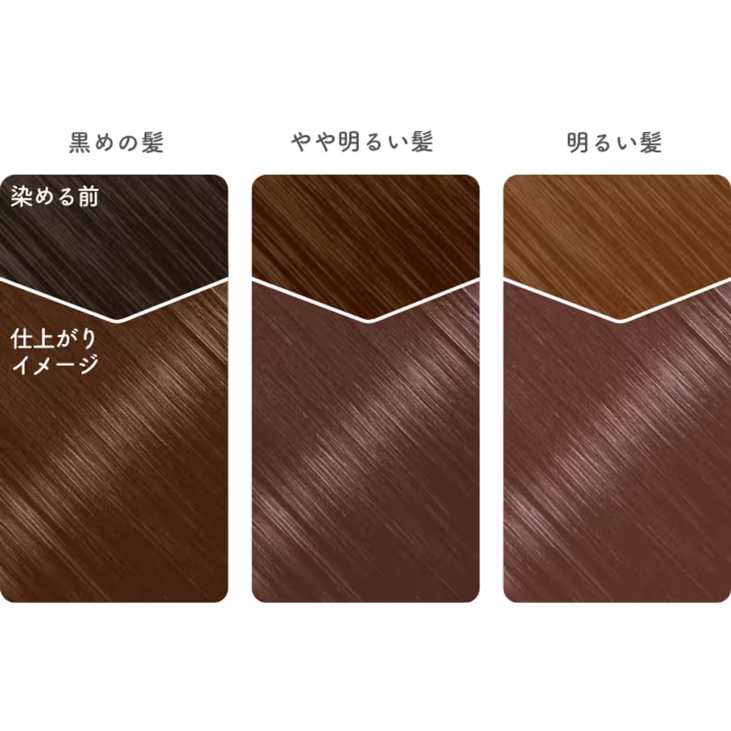 Beauty Labo Whip Hair Color – Ichiban Mart