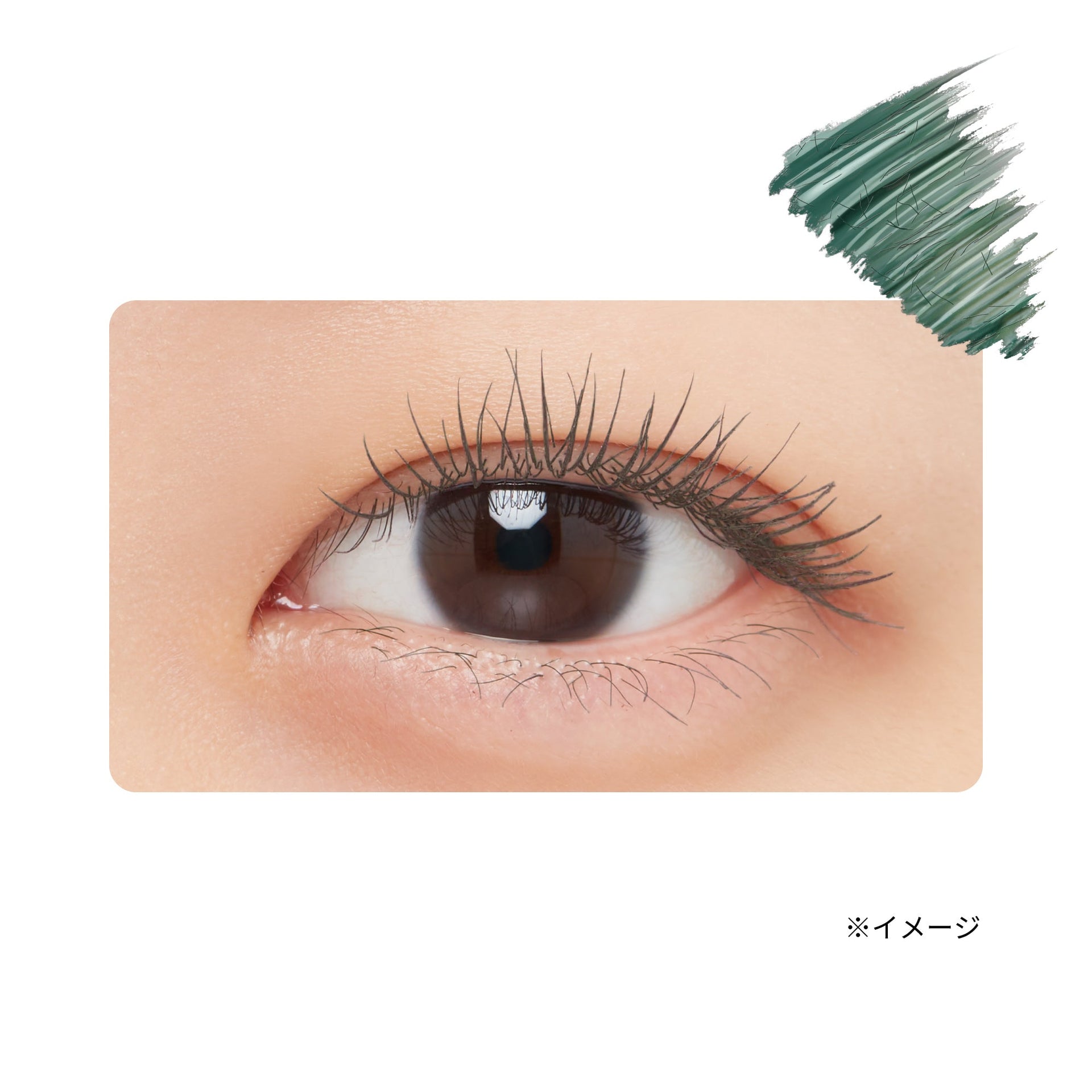 Ettusais Eye Edition Mascara Base – Ichiban Mart